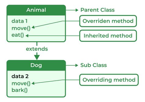 Java Oop Interview Questions Geeksforgeeks