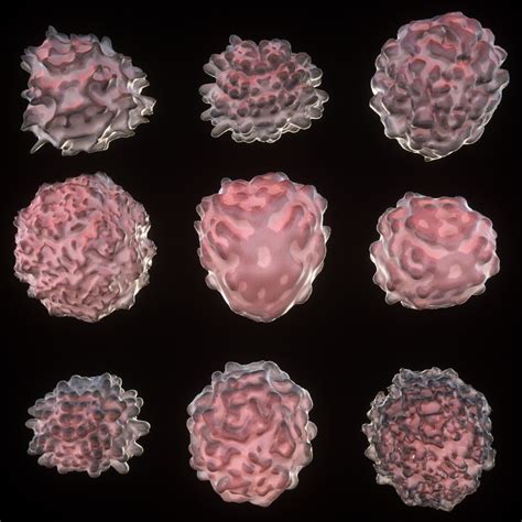 3d Model T Lymphocytes Turbosquid 1388084