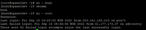 cara menggunakan vps