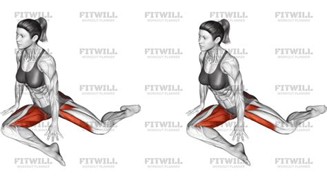 90 To 90 Stretch Exercise Guide Video Techniques Benefits How To