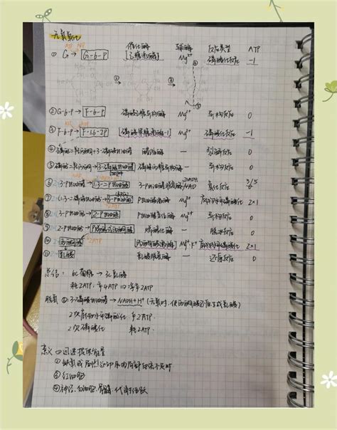 糖代谢：从无氧到有氧的全面解析