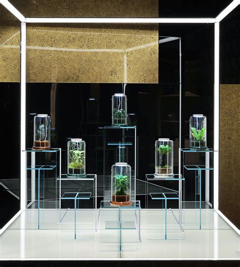 Ada Lab Ssp Ada Lab Aqua Design Amano Laboratory