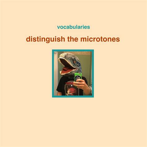 Distinguish The Microtones Vocabularies