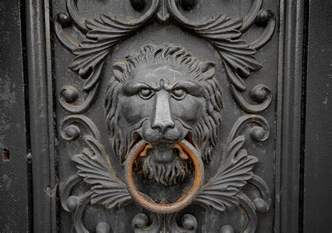 Lions Ring Photograph By Brian Gauger Fine Art America