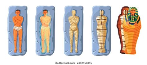 Mummy Wrapping Over 507 Royalty Free Licensable Stock Illustrations