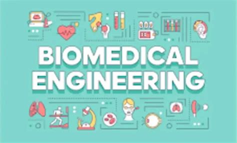 Do Biomedical Engineering Projects With Matlab And Python By Mamfarah4