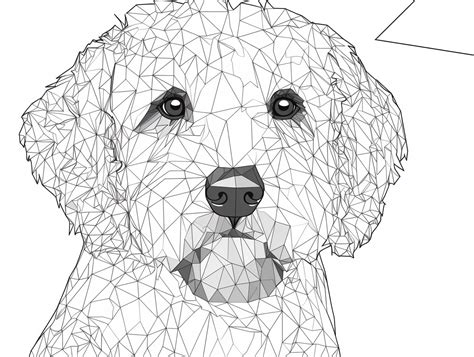 Cute Cockapoo Coloring Moment Coloring Page