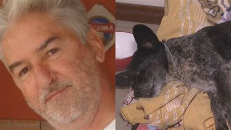 Oficial Da Reserva Preso Por Suspeita De Matar Cachorra De Vizinha A Tiros