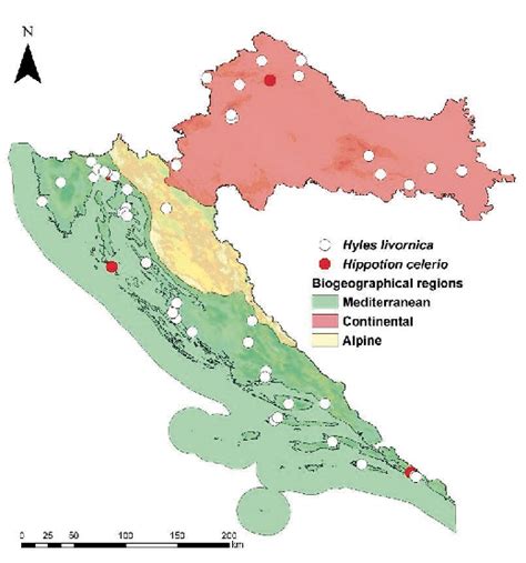 The Distribution Of Hyles Livornica And Hippotion Celerio In Croatia Download Scientific
