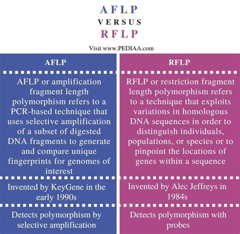What Is The Difference Between AFLP And RFLP Pediaa Com