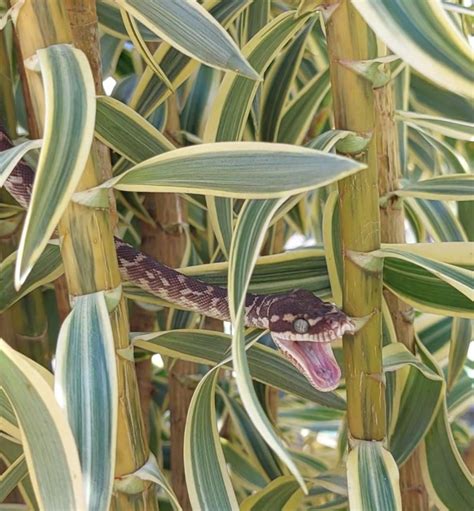 Caught A Smile From Monty When He Was Out Exploring The Garden 😊 Rsneks