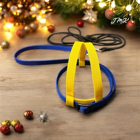 Jmk Harness And Leash Yellow And Dark Blue Size Extra Small 110 190 Grams Quakers Senegal