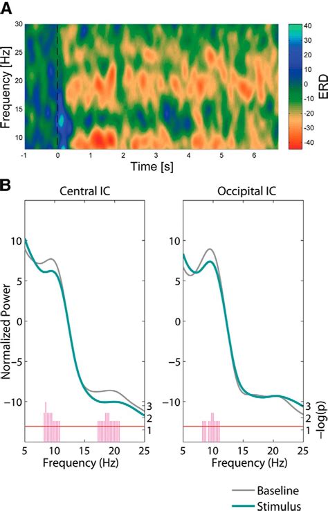 Alpha And Beta Band Event Related Desynchronization Reflects Kinematic Regularities Journal Of
