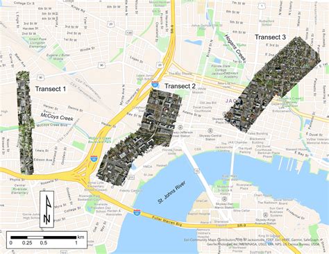Transectanalysis — Share