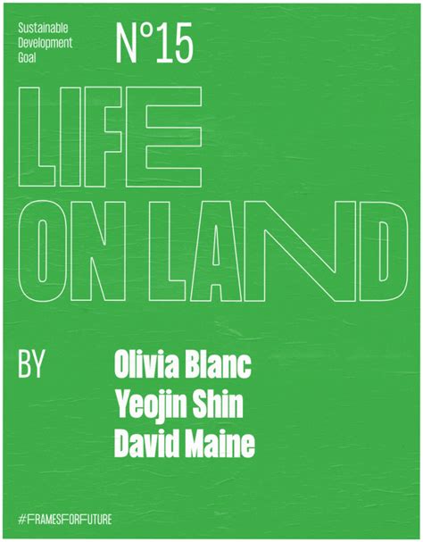 Frames For Future Sustainable Development Goals