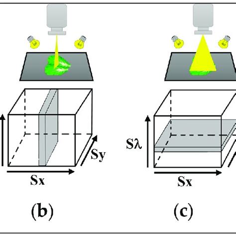 Schematic Summary Of Imaging Sensing Modes A Diffuse Reflectance