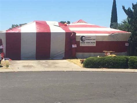 Fumigation Ripon Manteca Escalon Ca Pest Control