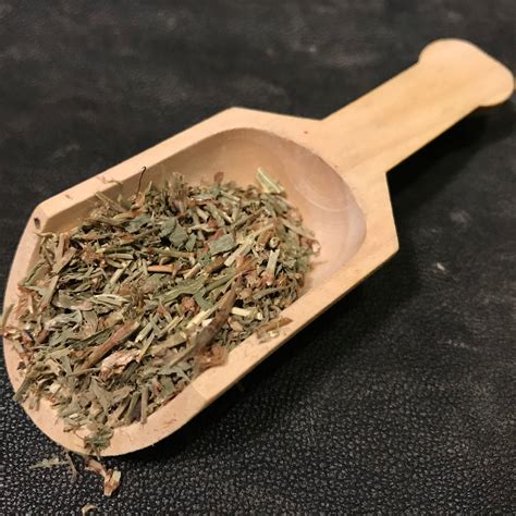 Knotgrass Polygonum Aviculare Knot Weed 6witch3