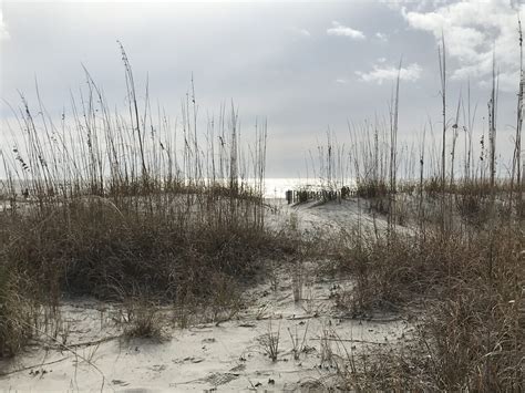 The Importance Of Sand Dunes