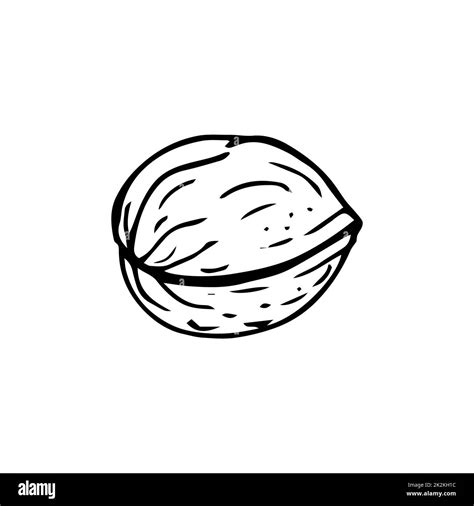 Nut Clip Art Black And White