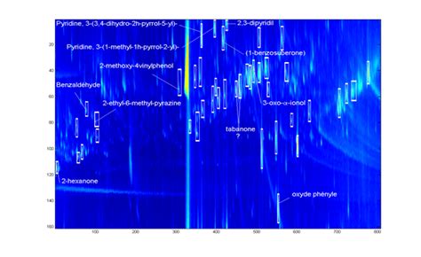 Discriminant Peak Attribution Thanks To Ms Data For A Sfe Burley Sample Download Scientific