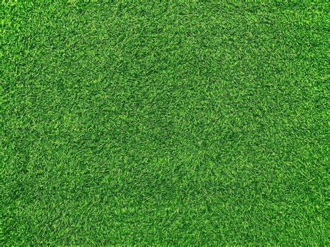 Green Grass Texture Background Grass Garden Concept Used For Making Green Background Football
