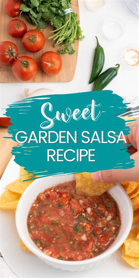 The Best Fresh Garden Salsa Recipern Recipe Garden Salsa Garden