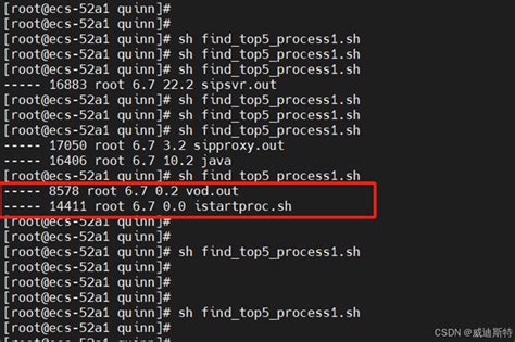 Linux命令脚本，把linux系统中cpu占用率最高的几个进程找出来，并显示的两种方法cpu占用率top5的进程信息 Csdn博客