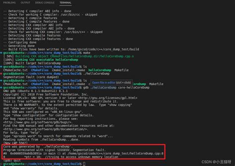 ubuntu c 程序查找 segmentation fault core dump 错误 ubuntu20中程序到ubuntu18中