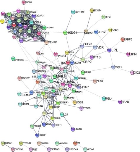 Integrative Analyses Of Genes Related To Liver Ischemia Reperfusion Integrative Analyses Of Genes Related To Liver Ischemia Reperfusion