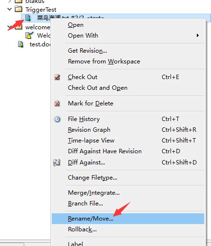 Perforce （p4）版本控制使用指南p4版本管理 Csdn博客