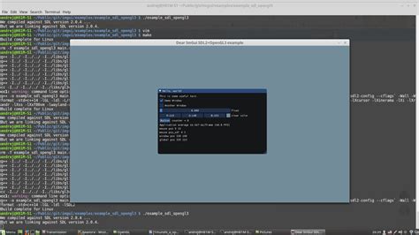 Cursor Y Offset On Linux Sdl · Issue 1886 · Ocornutimgui · Github
