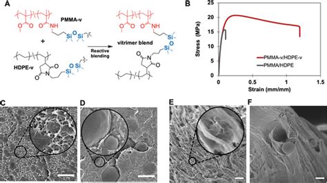 Melt Blending Of Vitrimers For Self‐compatibilization A Proposed Download Scientific Diagram