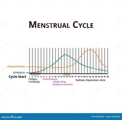 Menstrual Cycle Menstruation Ovulation Hormones Estrogen And Progesterone Menstrual Cycle