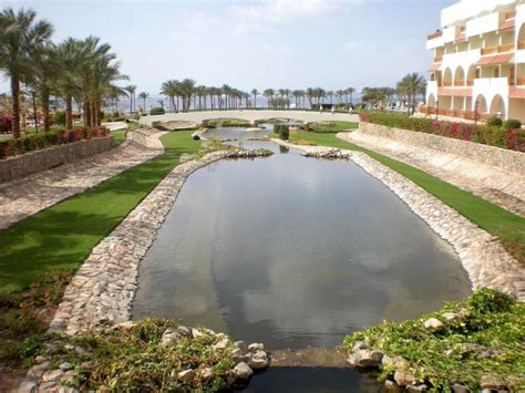 Free Picture Small Lake