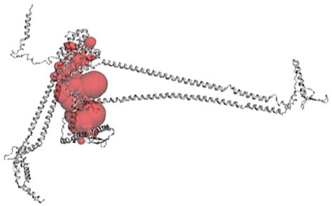 the binding pocket of 3d structure pfap2 i as computed by castp