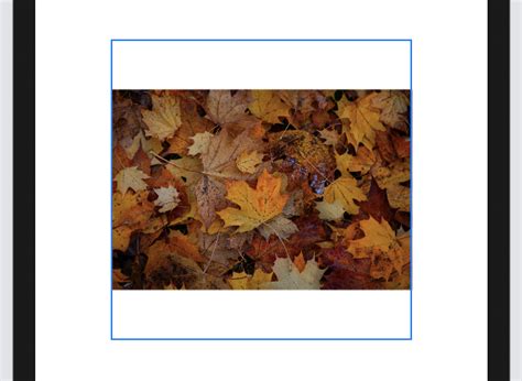 SwiftUI Image Tutorial Simple Swift Guide