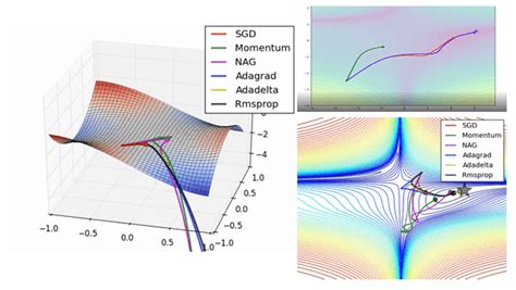 Common Optimization Algorithms Fraidoon Omarzai