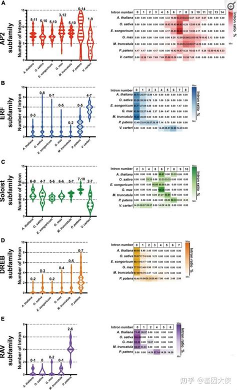 基因家族发二区？还不想做实验？来学学这篇文章 知乎