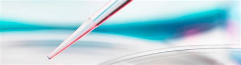 Positive Signs After Embryo Transfer Fertilab Barcelona