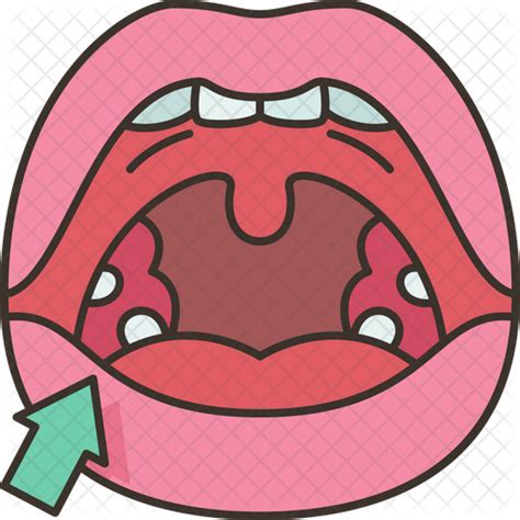 Tonsils Icon Download In Colored Outline Style