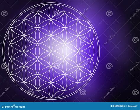 Circles Of Life Stock Image Image Of Pattern Circle 258988235