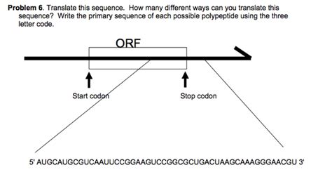 Solved Translate This Sequence How Many Different Ways Can