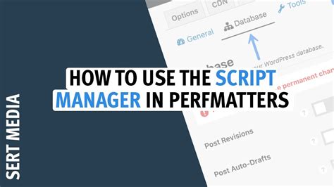 Script Manager Tutorial 2020 How To Cleanup Wordpress Plugin Assets
