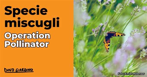 Specie Miscugli Operation Pollinator Dino Giardino