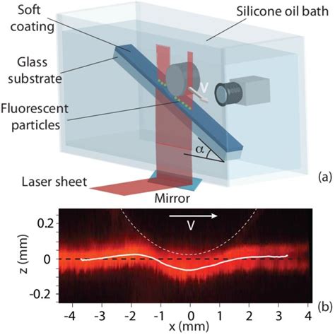 Experimental Setup And Laser Profilometry A A Negatively Buoyant