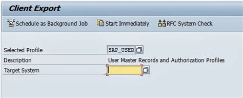 SAP BASIS Support Issues Solutions October