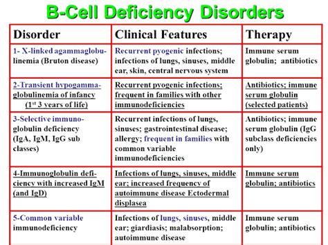 B Cell Deficiency Disorder Medizzy