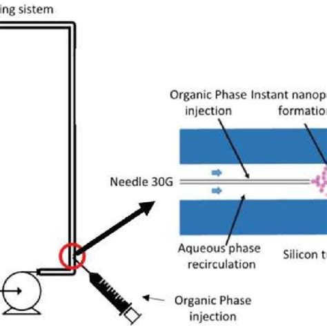 Different Plasma Classification Download Scientific Diagram