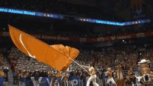 Texas Longhorns S Tenor